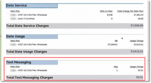 Billing Invoice Overview Example - Invoices with Domestic Solutions ...